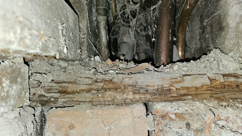 How to Identify and Treat Wet Rot | Cannon Clarke